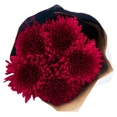 Flowers | Flowers & Plants | Smart Price Specials | PnP