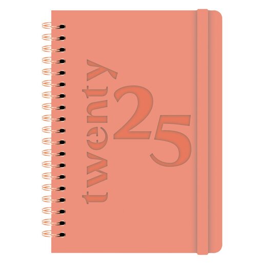 Donau 2025 Assorted A5 Wiro Pastel Diary | PnP
