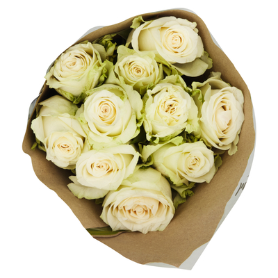 PnP Glow Roses 50cm | PnP