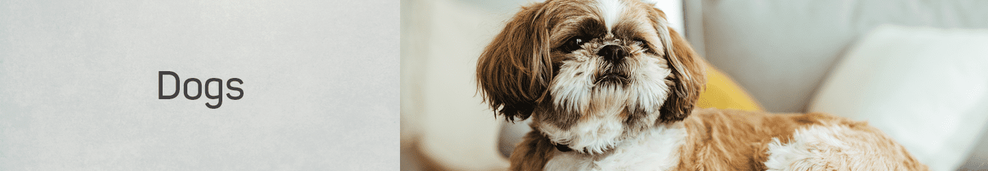 Dogs | Pet Care | Smart Price Specials | PnP