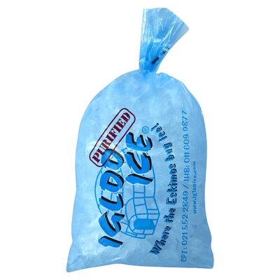 Bag of ice price store