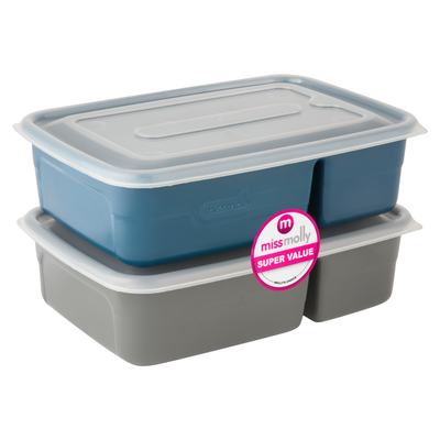 Miss Molly Dual Compartment Lunch Box Assorted 2 Pack | PnP