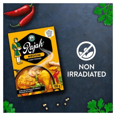 Robertsons Rajah Medium Curry Powder 100g | PnP