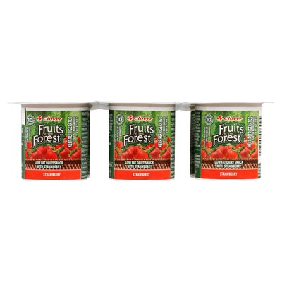 Clover Fruits of the Forest Strawberry Dairy Snack 6 x 100g | PnP