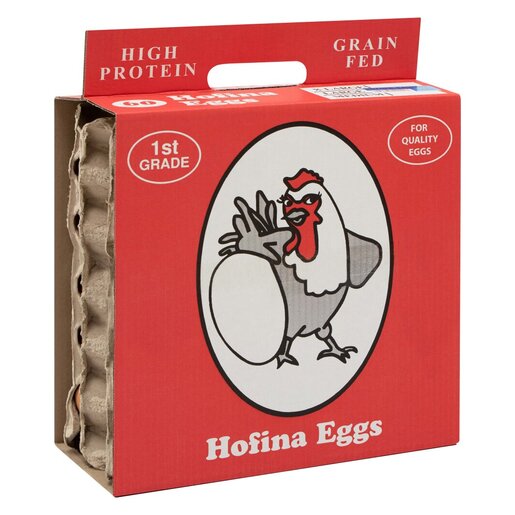 Hofina Poultry Eggs Extra Large 60 Pack | PnP