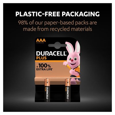 Duracell Plus Power AAA 2 Pack | PnP