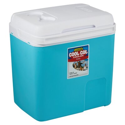 Addis Turquoise Coolcat Cooler Box 26L | PnP