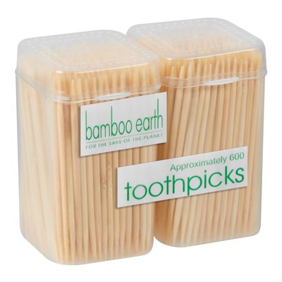 Bamboo Earth Bamboo Toothpicks 600 Pack | Smart Price Specials | PnP Home