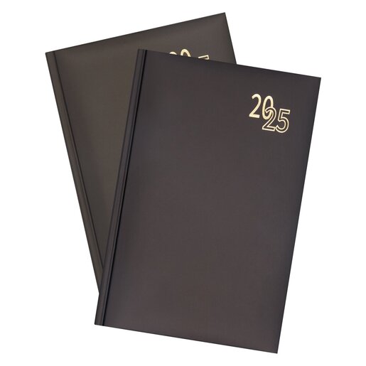 Donau 2025 A5 Page A Day Regency Diary | PnP