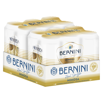 Savanna Dry Can 12 x 500ml | PnP