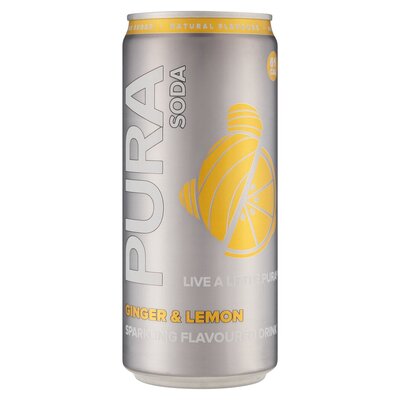 Fanta Orange Can 300ml | PnP