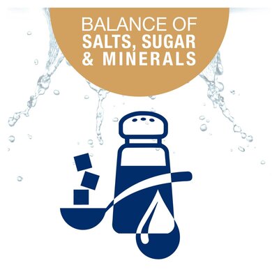 Rehidrat Vanilla Oral Electrolyte Mixture Sachet 14g | PnP