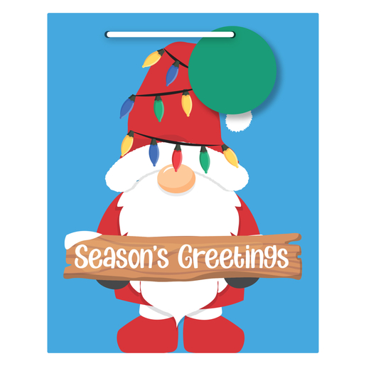Creative Medium Christmas LED Gift Bags | Smart Price Specials | PnP Home
