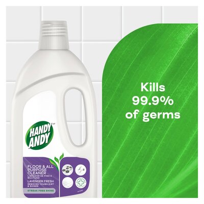 Handy Andy Lavender Fresh Floor & Multipurpose Cleaner 750ml | PnP