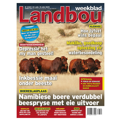 Hello Magazine | PnP