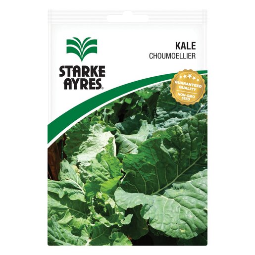 Starke Ayres Kale Seed 15g | Smart Price Specials | PnP Home