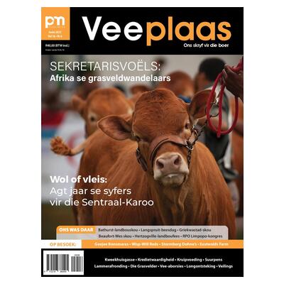 Financial Mail | PnP