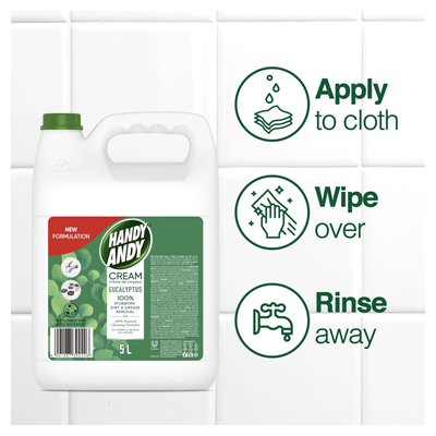 Handy Andy Eucalyptus Multipurpose Cleaning Cream 5L | PnP