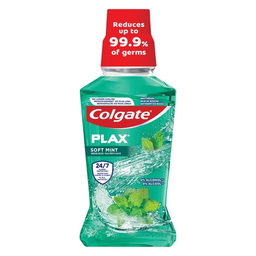 Plax Mouthwash Mint 250ml | PnP