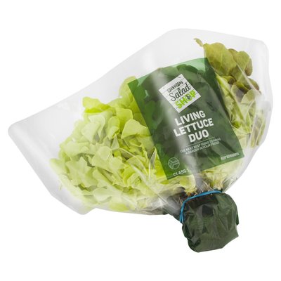 PnP Duo Living Lettuce | PnP