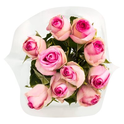 PnP 50cm Mix Roses | PnP