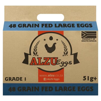 Alzu Eggs Large Eggs 48 Pack | PnP