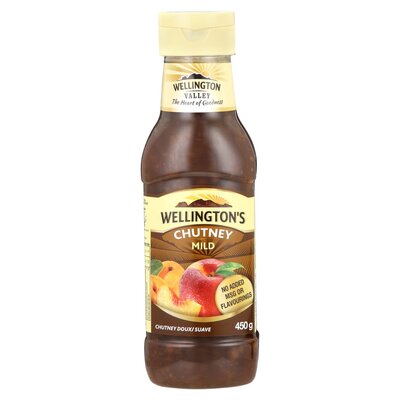 Wellington's Chutney Mild 450g | PnP