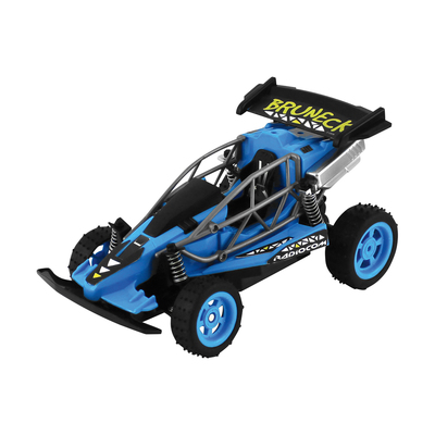 Radiocom Radio Controlled Buggy Assorted | PnP