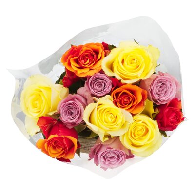 PnP Pocket Rose | PnP