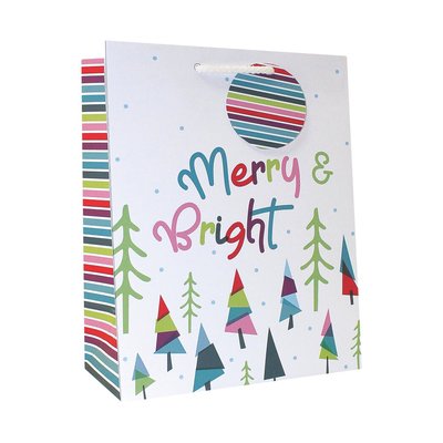 Creative Assorted Medium Gift Bag | PnP