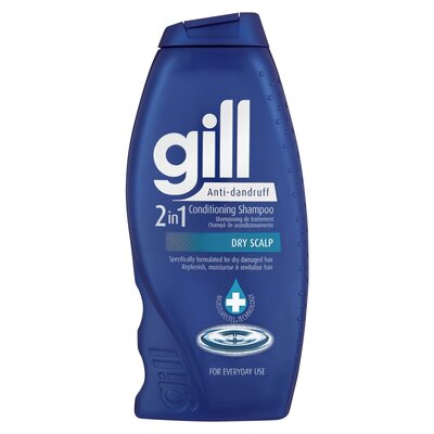 Gill 2in1 Dry Scalp Shampoo 400ml | PnP