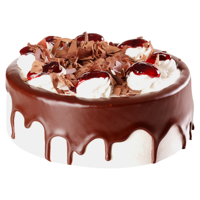 PnP Assorted Rectangular Cake 20 x 30cm | PnP