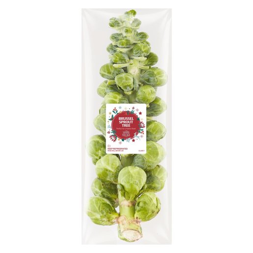 PnP Brussel Sprout Tree | PnP