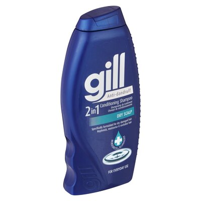 Gill 2in1 Dry Scalp Shampoo 400ml | PnP
