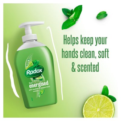 Radox Feel Energised Keylime & Peppermint Cleansing Handwash Soap 300ml ...