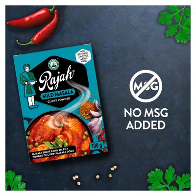 Robertsons Rajah Mild Masala 100g | PnP