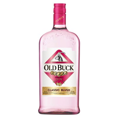 Gordon's Gin 750ml | PnP