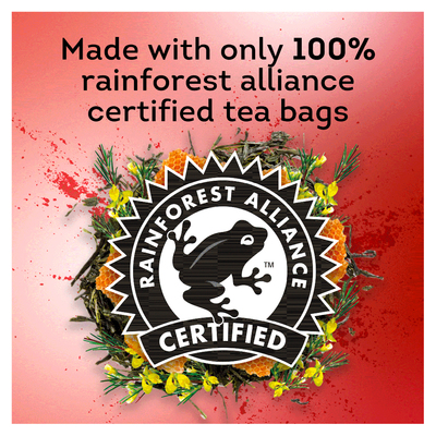 Lipton Rooibos Tagless Tea Bags 80 Pack | PnP