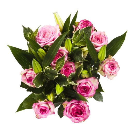 PnP Rose & Seasonal Premium | PnP