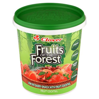 Clover Fruits of the Forest Fruit Cocktail 1kg | PnP