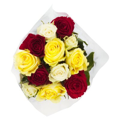 PnP Pocket Rose | PnP