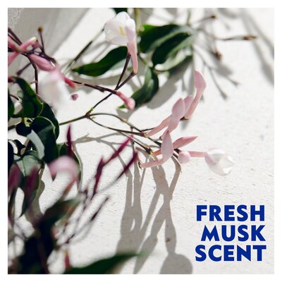 Nivea Female Fresh Musk Antiperspirant Deodorant 50ml | Smart Price ...