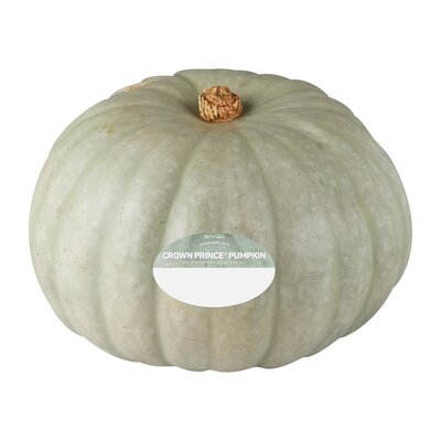 Hart J7 Pot Set 8 Piece | PnP