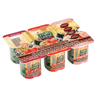 Clover Fruits of the Forest Guava & Cereal Dairy Snack 6 x 100g | PnP