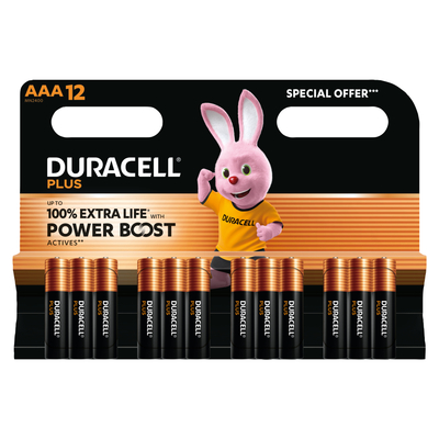 Duracell Plus AAA Alkaline Batteries 12 Pack | PnP