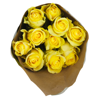 PnP Glow Roses 50cm | PnP