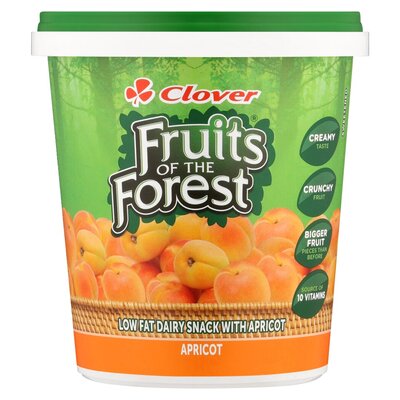 Clover Fruits Of The Forest Low Fat Apricot Yoghurt 1kg | PnP