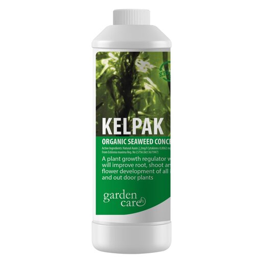 Starke Ayres Kelpak Organic Seaweed Concentrate 1L | PnP