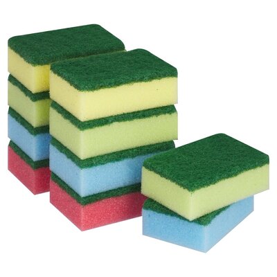Vileda Rainbow Scourer 10 Pack | PnP