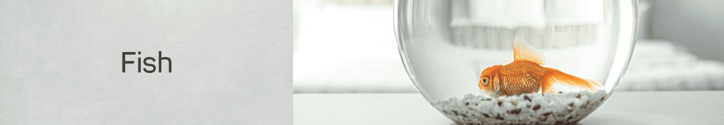 Fish | Pet Care | Smart Price Specials | PnP